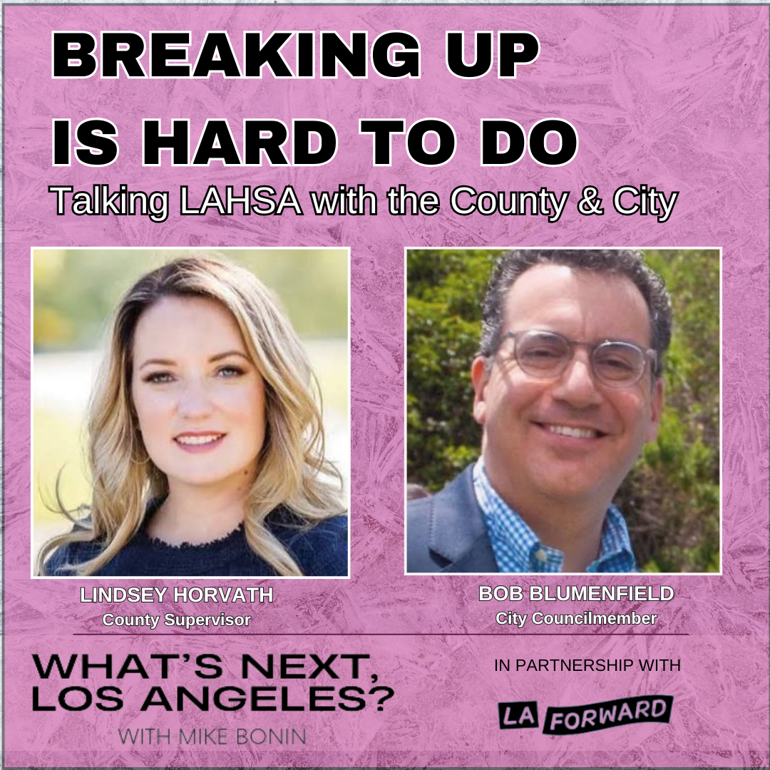 WNLA Podcast - Breaking Up is Hard to Do: Talking LAHSA with LA County and LA City